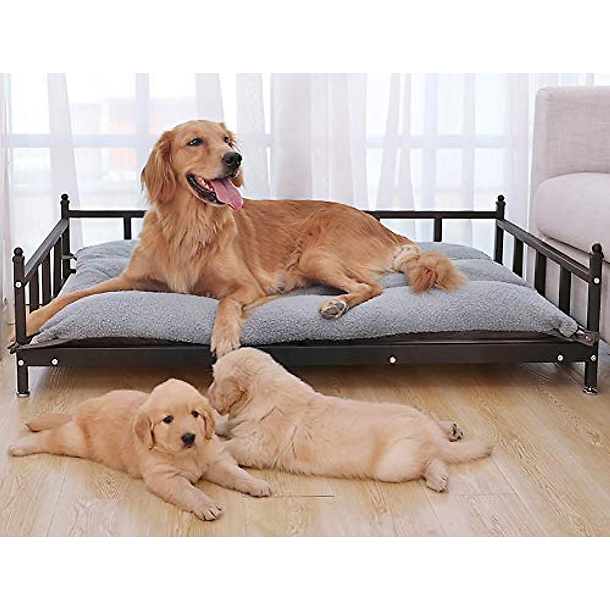 LXLA Deluxe Large Dogs Bed, Metal Elevated Pet Cot with Soft Mat, Adjustable Height Non Slip Foot, for Medium & Large Dogs, Easy Install (Size : L 101×68×30cm)
