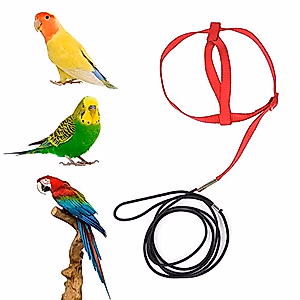 Bird Harness Leash, Parrot Training Harness Cockatiel Traction Rope for Parakeets, Macaws, Parrots, Love Birds