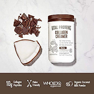 Vital Proteins Collagen Coffee Creamer, Coconut Milk based & Low Sugar Powder with Collagen Peptides Supplement - Supporting Healthy Hair, Skin, Nails with Energy-Boosting MCTs - Mocha 11.2oz