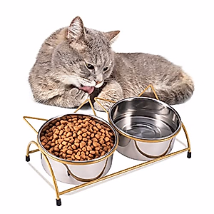Trosetry Raised Cat Bowls, Double Stainless Steel Cat Food Bowls Non-Slip Elevated Pet Feeder with 15°Tilted Neck Protective Bowl for Puppy Cats and Small Dogs Food and Water Feeding