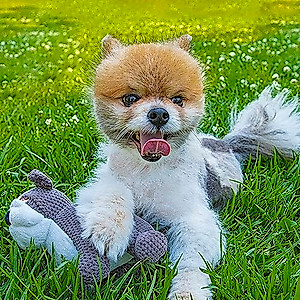 Unique Bulldog Plush Toy - Adorable Crinkle Toy with Squeaker - Suitable for Puppies to Large Dogs