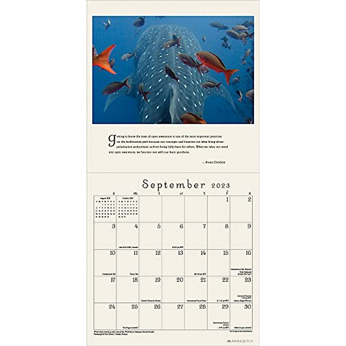 Pema Chodron 2023 Wall Calendar: Awakening the Heart - A Year of Inspirational Quotes | 12" x 24" Open | Amber Lotus Publishing