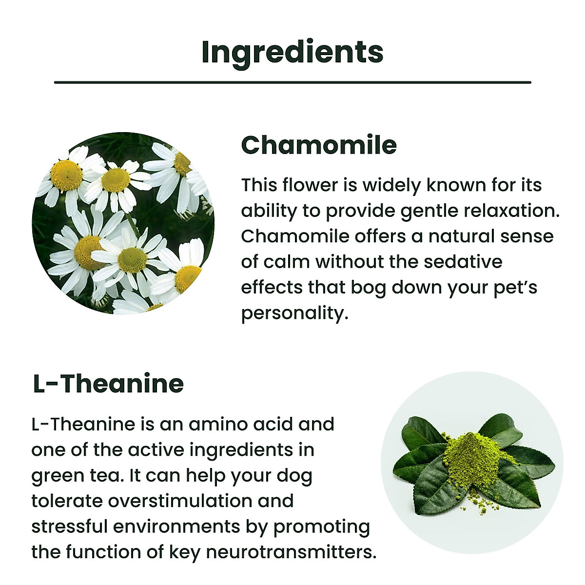 Lolahemp Calming Hemp Oil for Dogs with L-Theanine and Chamomile - Vet Formulated Natural Calming Dog Support - for Nerves, Loud Noises, Thunder, Fireworks - Promotes Relaxation - USA Made