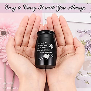 Small Cremation Urns for Pet Ashes Mini Cat Paw Keepsake Urn 2.8" Aluminium Small Ashes Urns Mini Urn for Cat Ashes Holder