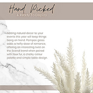 Livmore White Pampas Grass 35 Pcs, 19 inches/48cm Fluffy Natural Dried for Boho Wedding Centerpieces, Photography and Home Decor, Flower Arrangement Vase Fillers ,Kitchen and Garden Decorations