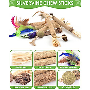 TINDTOP Silvervine Chew Sticks for Cats, 12 Pack Natural Catnip Chew Toys for Kittens Teeth Cleaning, Matatabi Dental Care, Increase Appetite, Calm Cat Anxiety and Stress, Cat Dental Toy