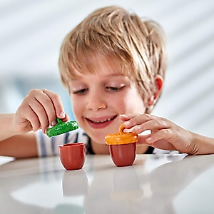 Learning Resources Discovery Acorns, Assorted Colors, Set of 10