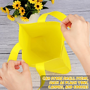 Aneco 24 Pack Reusable Party Non-Woven Favor Bags 9.5×9.5 Inch Pinata Goodie Gift Bag Colorful Tote Candy bags for Birthday Weeding Party