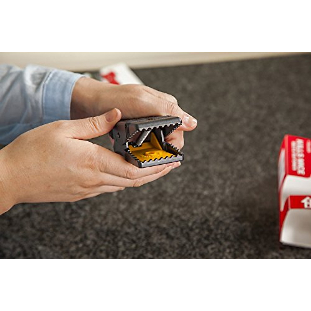 Tomcat Snap Traps, 2-Pack (Mouse Trap) (Not Sold in AK)