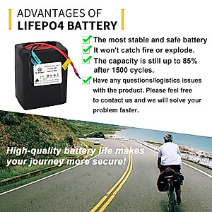 BtrPower 48V LiFePO4 Ebike Battery 20AH Lithium Battery Pack for 1500W-350W Motor, Built-in 40A BMS and 3A Fast Charger