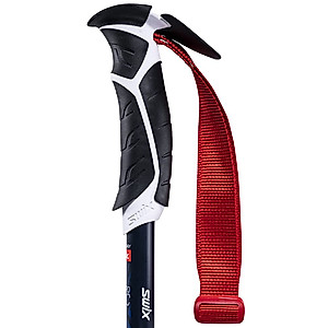 Swix Winter Sports Slalom Recreational Competition Alpine Skiing Racing Freeriding WC Pro SL Carbon Poles, 125cm