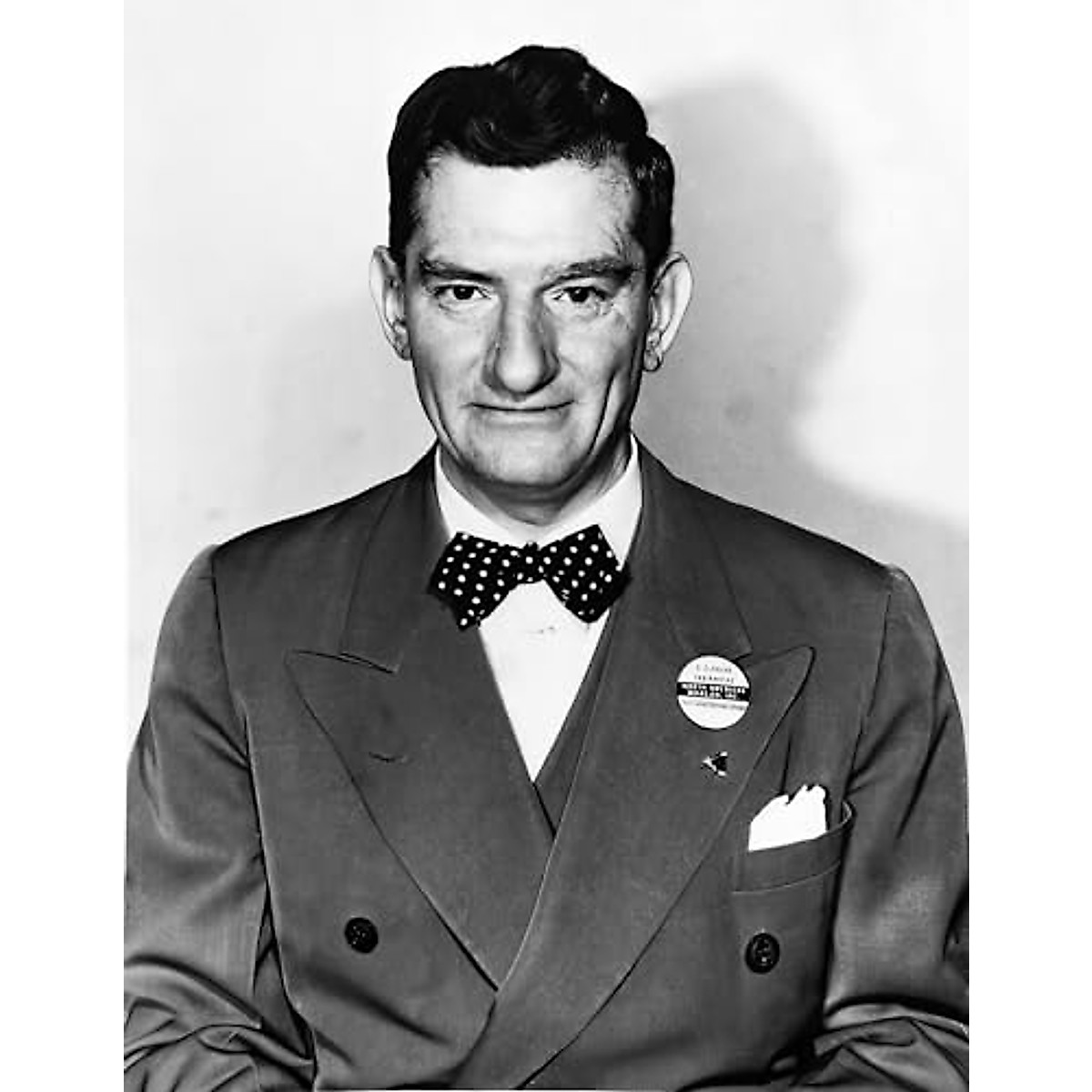 Wings of War: The World War II Fighter Plane that Saved the Allies and the Believers Who Made It Fly