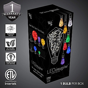 LEDimagine Fairy String Light Bulb Fairy Lights, LED Globe Fairy Light Pendant Bulb, Globe Fairy LED Light (RGB Multicolor Color Changing, ST64 Bulb, E26 Base)