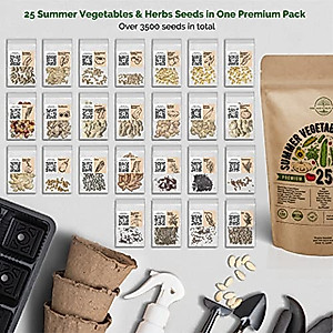 25 Summer Vegetable & Herb Garden Seeds Variety Pack for Planting Outdoors and Indoor Home Gardening 3500+ Non-GMO Heirloom Veggie & Herb Seeds: Tomato Pepper Okra Bean Cucumber Basil Rosemary & More