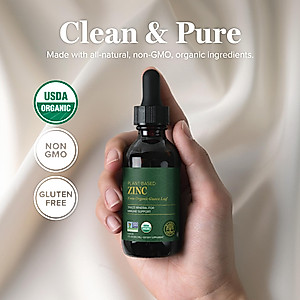 Global Healing USDA Organic Zinc Liquid Supplement - Pure Vitamin Drops for Immune System Boost, Hormone Balance, and Healthy Aging - Vegan-Friendly, Non-GMO - 2 Fl Oz