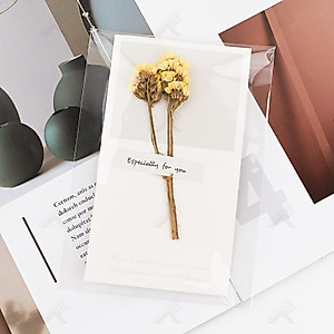 Golden State Art, Pack of 100, Acid-Free 16 3/8x 20 1/8 inches Crystal Clear Sleeves Storage Bags for 16x20 Photo Framing Mats Mattes