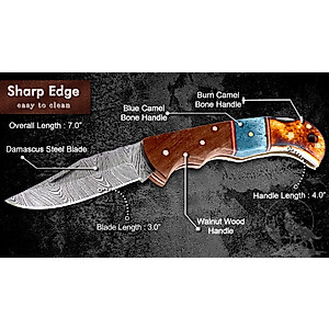 Back Lock Handmade Folding knifeBack Lock Pocket knife Damascus Steel Blade Back Lock Camel Bone Handle Leather Sheath BW-5173