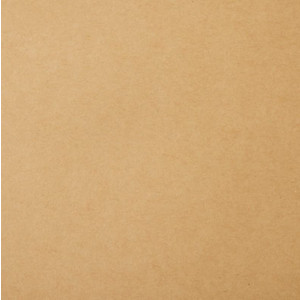 RECOLLECTIONS FOIL CARDSTOCK PAPER - Holographic 25ct sheets