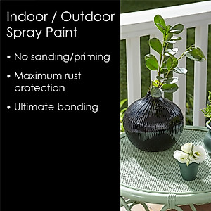 Krylon K02702007 Fusion All-In-One Spray Paint for Indoor/Outdoor Use, Gloss Black, 12 Ounce (Pack of 2)