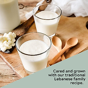 1 SET Milk Kefir Grains Set Starter Culture, Fresh Live Active Probiotic Start your own Kefir Culture at Home, Bulgaros de Leche, Pajaritos, Homemade Kefir Milk