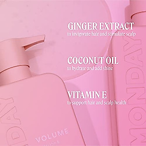 MONDAY HAIRCARE Volume Shampoo + Conditioner Set (2 Pack) 12oz Each for Thin, Fine, and Oily Hair, Made from Coconut Oil, Ginger Extract, & Vitamin E, 100% Recyclable Bottles