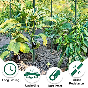 TINGYUAN Garden Stakes 55 Inches Steel Plant Stakes, Pack of 25