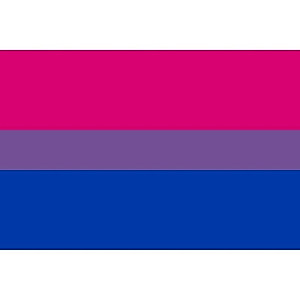 CafePress Bisexual Pride Mug Ceramic Coffee Mug, Tea Cup 11 oz