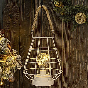 JHY DESIGN Decorative Cage Bulb Lamp Battery Powered Lights 8.5" Tall Cordless Accent Light with Edsion Style Bulb Great for Weddings Parties Patio Events for Indoors Outdoors(White)