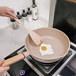 Taste plus Deep Frying Pan with Glass Lid, Small Skillets Nonstick with Lid,Small Saute Pan with Wooden Handle 9.5inch