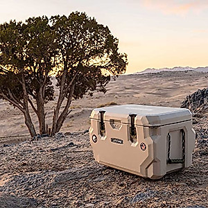 Lifetime 65 Quart High Performance Hard Cooler