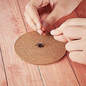 500 Pieces Stainless Steel Insect Pins Specimen Pins Entomology Pins Butterfly Collection Needles for School Lab Entomology Butterfly Collectors, 5 Sizes