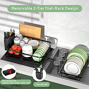 Loftiage Dish Drying Rack and Drainboard Set, Large Dish Racks for Kitchen Counter, 2 Tier Dish Strainers, Black Dish Drainer with Utensils, Pot, Knives, Cutting Board Holders and Drying Mat