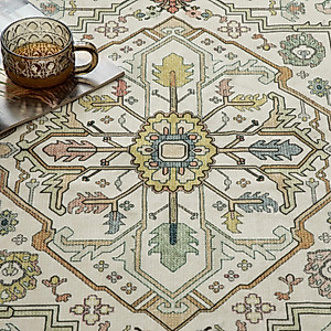 Rineflo-2'x3' Washable Indoor Doormat, Non-Slip Retro Door Mat ，Boho Mat Low-Pile Entryway Rug，Suitable for Bedroom, Study, Bathroom Entrance Carpet (Beige Green, 2'x3')