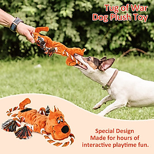 Tough Indestructible Dog Toys for Large Aggressive Chewers, Durable Dog Chew Toy for Large Breed,Aggressive Chew Toys for Large Dogs With Cotton Material & Crinkle Paper,Dog Chewing Toys Small Large