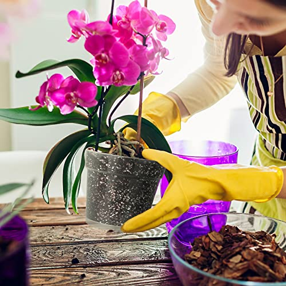 durony 12 Pack 4.5 Inches Clear Orchid Pots with Holes Flower Plant Pot Durable Plastic Planter with 12 Pieces Plant Labels Great Drainage for Seedlings Planting