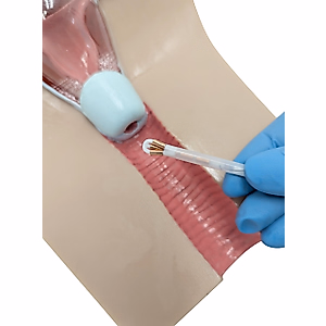 Anatomy Lab IUD Insertion Model I