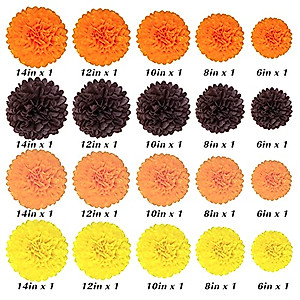 20pcs Decorative Tissue Paper Pom Poms of 14in, 12in, 10in, 8in, 6in for Autumn Party Halloween Birthday Wedding Fiesta Birthday Indoor and Outdoor Decoration (Oranges, Yellow, Brown)