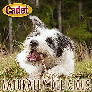 Cadet Gourmet Beef Hide & Chicken Twists Dog Treats - Healthy & Natural Rawhide & Chicken Dog Treats for Small & Large Dogs - Inspected & Tested in USA, 5 In. (50 Count)