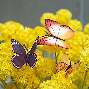 Cheerland 16pcs 3D Fall Theme Butterfly Wall Decor Removable Decal Mural Autumn Yellow Orange Butterflies Sticker for Kids Bedroom Nursery Classroom Party Decoration Wedding Decor DIY Gift