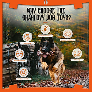 Nylon Dog Toys for Aggressive Chewers, Squeaky Tug of War Dog Toy with Rope, Interactive Dog Toys with Squeaker for Small Medium Large Dogs Breeds, Almost Indestructible Tough Durable Pet Toys