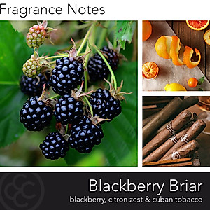 Colonial Candle BlackBerry Briar Scented Jar Candle | 2-Wick Natural Soy Blend Wax Candle for Home | Relaxing Aromatherapy Candle Infused with Essential Oils | M. Baker Apothecary Glass Jar Candle