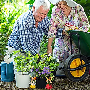 Mood Lab Fairy Garden - Miniature Fairy Figurines - Flower Girls Set of 2 pcs - Narcissus & Rose Fairies Accessories Statue Kit