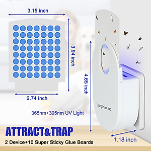 Swagon 2 Pack Upgraded Flying Insect Trap Plug-in,Fly Trap Indoor,Safe Home Fly Killer,Insect Catcher for Fruit Flies,Gnats,Moths,Mosquitoes,Bug UV Light Atrractant Trap(2 Device+10 Refill Glue Cards)
