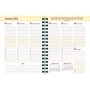 Posh: Deluxe Organizer 17-Month 2020-2021 Monthly/Weekly Planner Calendar: Lemondrops