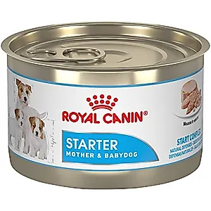 Royal Canin Size Health Nutrition Starter Mother & Babydog Mousse in Sauce Wet Dog Food, 5.8 oz Can (Case of 24)
