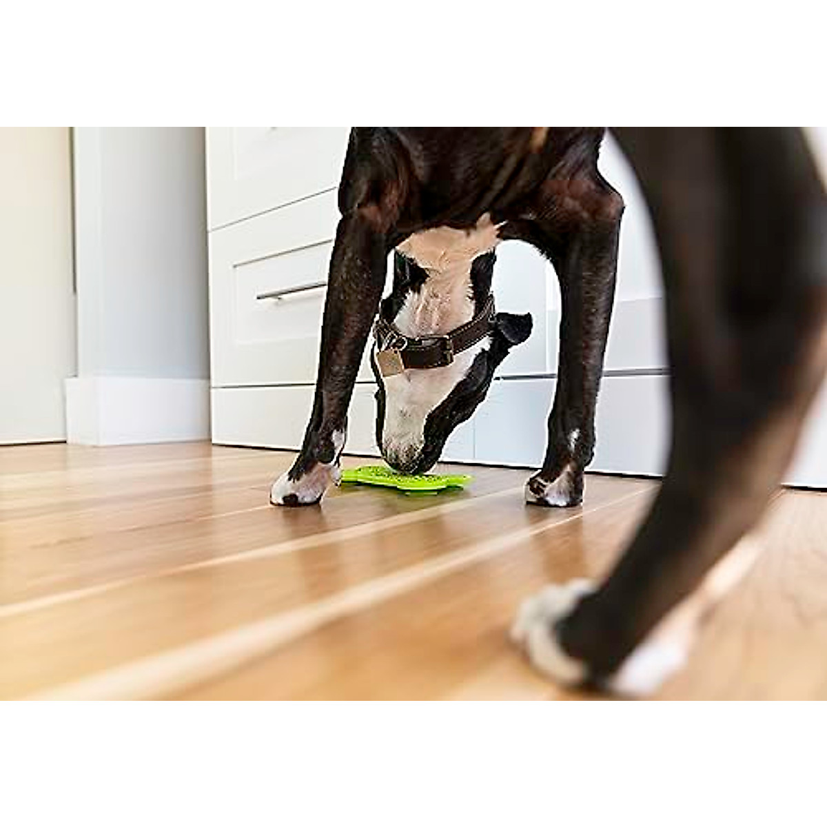 Pet Naturals Calm and Busy Pack with 6 Pouches of BusyButter Calming Peanut Butter and Premium Lick Mat with Suction Cups