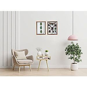 9 Real MIXS Very Rare Insect Taxidermy Set in Boxes Display for Collectibles