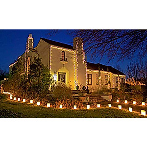 Set of 12 Brown Luminaries, Amber LED Tea Lights & Stakes