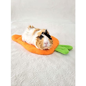 Guinea Pig Bed Mat Washable Pee Pad, Fleece Bedding for Rodent, Reusable Carrot Cage Liner for Rabbit, Hedgehog, Rat, Hamster or Small Animal