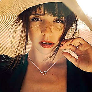 2Pcs Silver Taurus Necklace for Women 12 Constellation Sign Necklace CZ Astrology Zodiac Star Necklace Birthday Gifts with Message Card (Taurus)